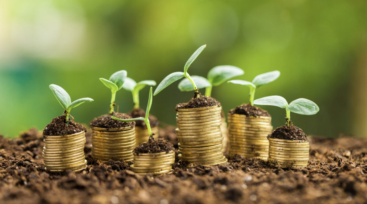 Higher Education and Financial Responsibility: What to Expect ...